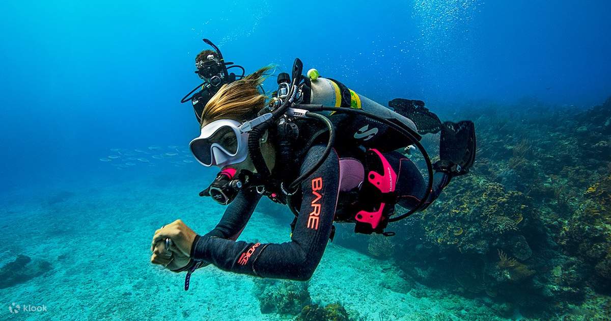 提升您的潛水體驗：馬拉帕斯加 Padi 高氧空氣潛水員（高氧）與 Padi 5 星級 Cdc 合作 Klook香港